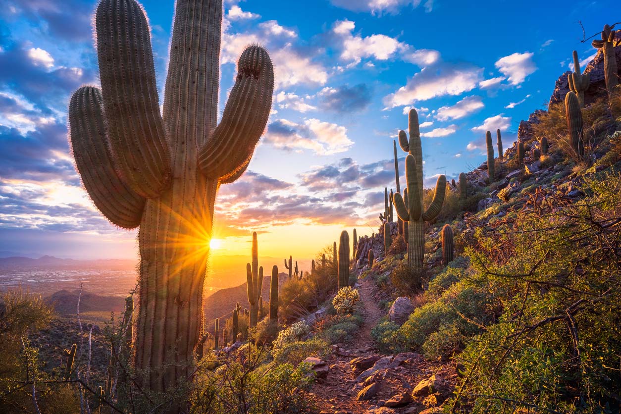Integrative NLP Practitioner Certification® Training - Phoenix, AZ Integrative NLP Practitioner Certification® Training - Phoenix, AZ